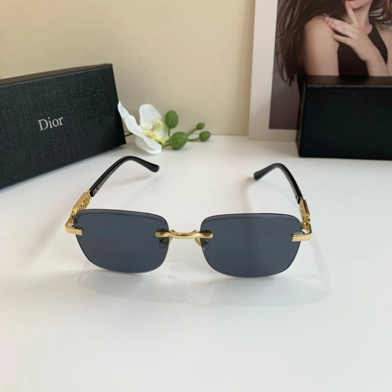Official Christian Dior Sunglasses