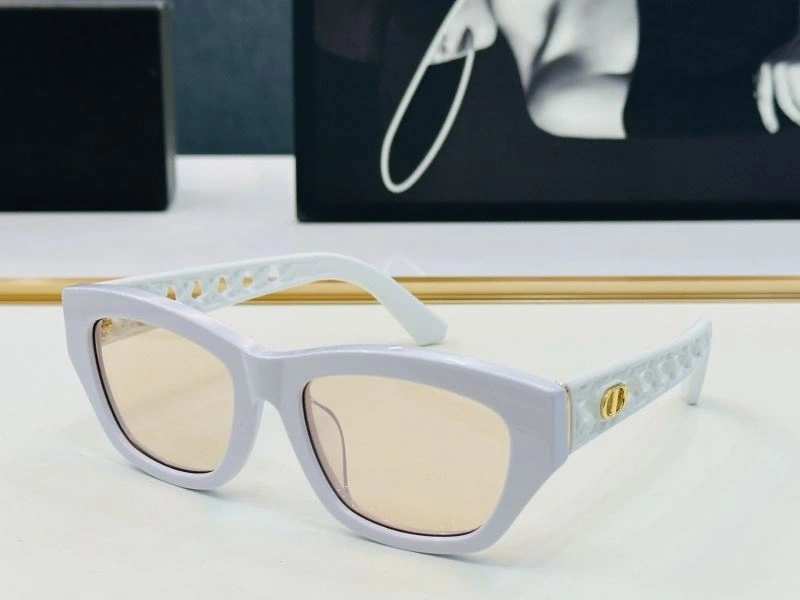 Top match Christian Dior Sunglasses