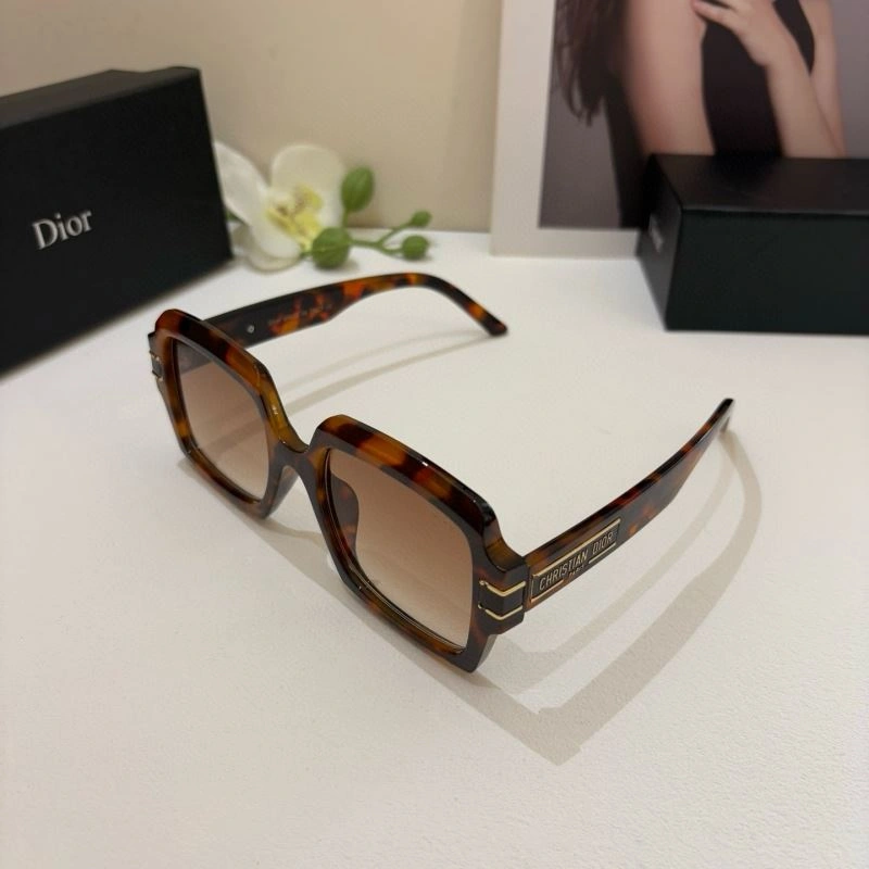 Accurate model Christian Dior Sunglasses