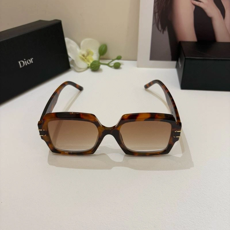 Accurate model Christian Dior Sunglasses