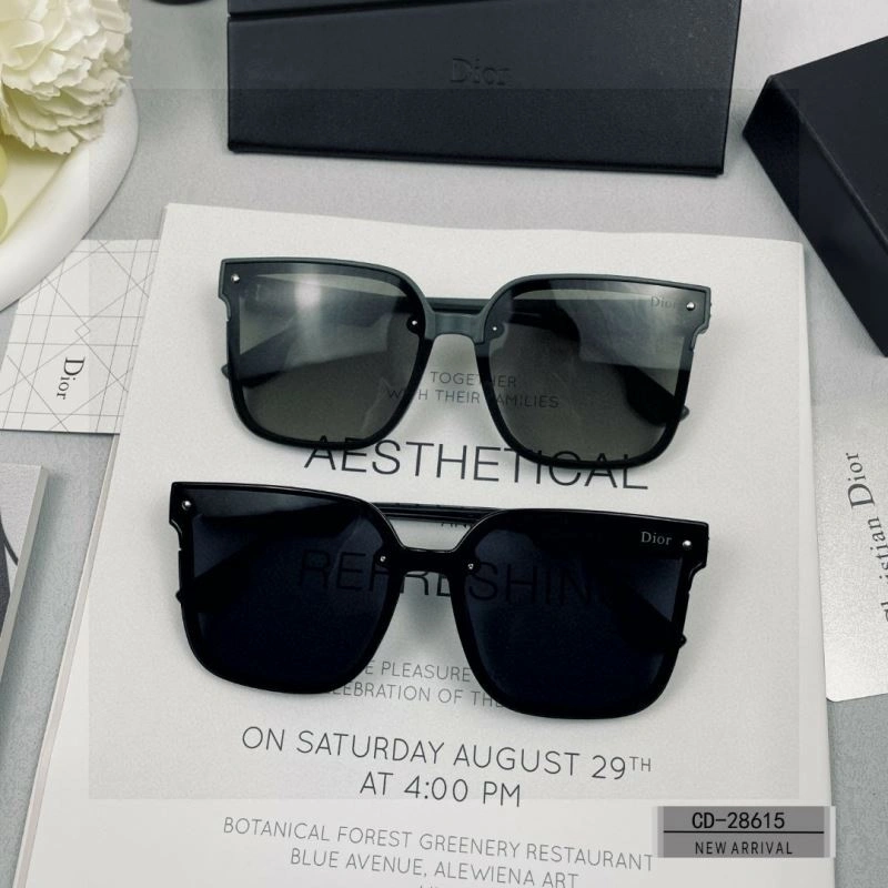 Indistinguishable Christian Dior Sunglasses