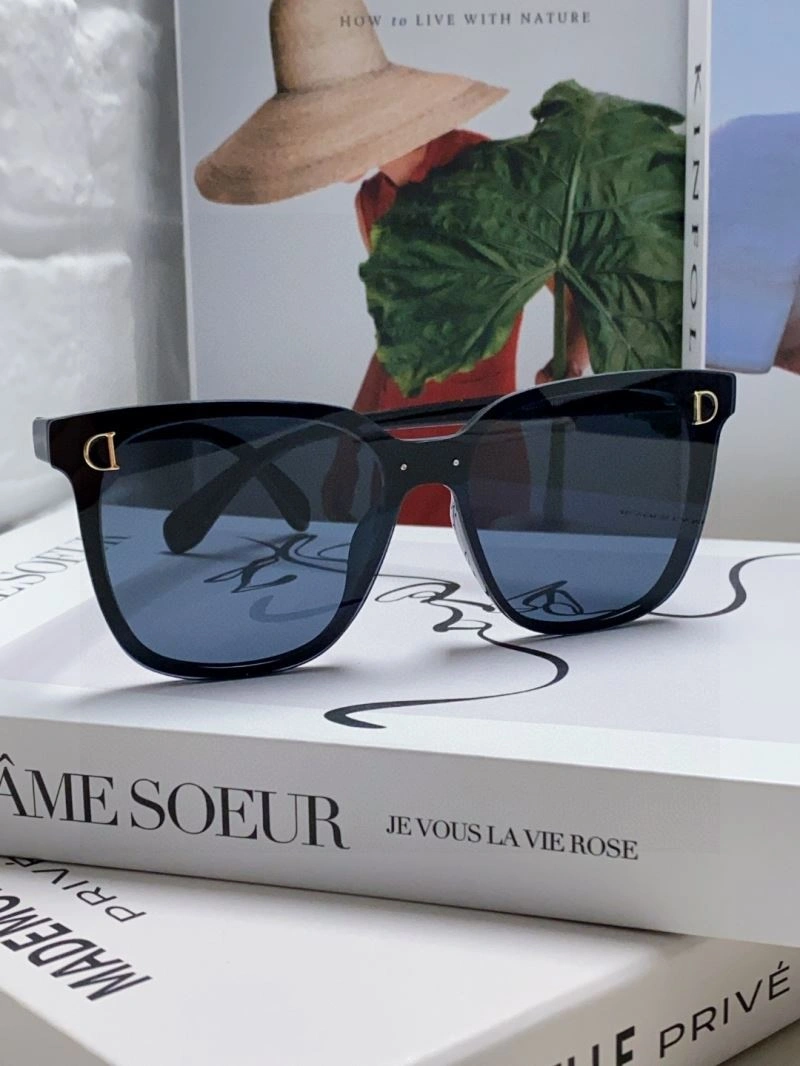 High accuracy Christian Dior Sunglasses