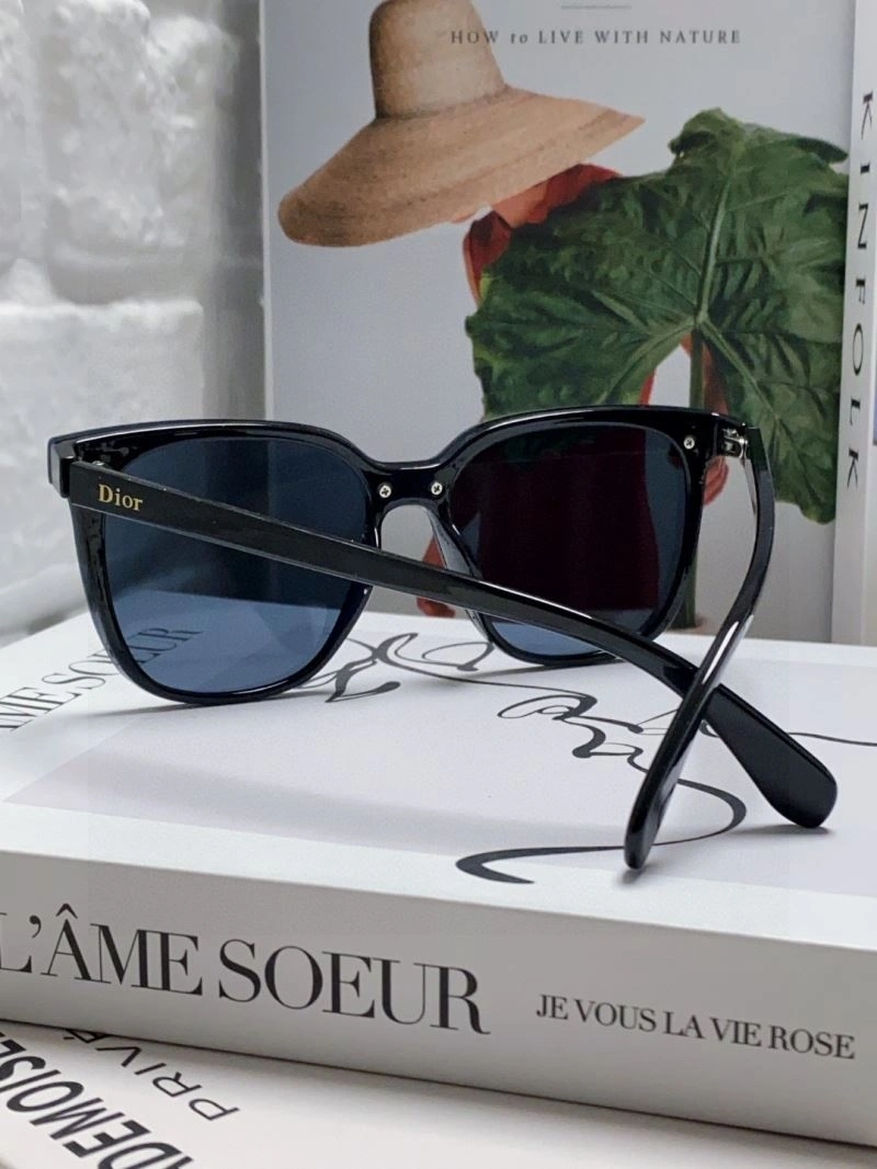 High accuracy Christian Dior Sunglasses