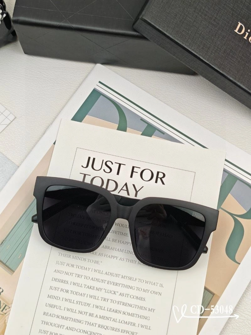 Budget-friendly Christian Dior Sunglasses