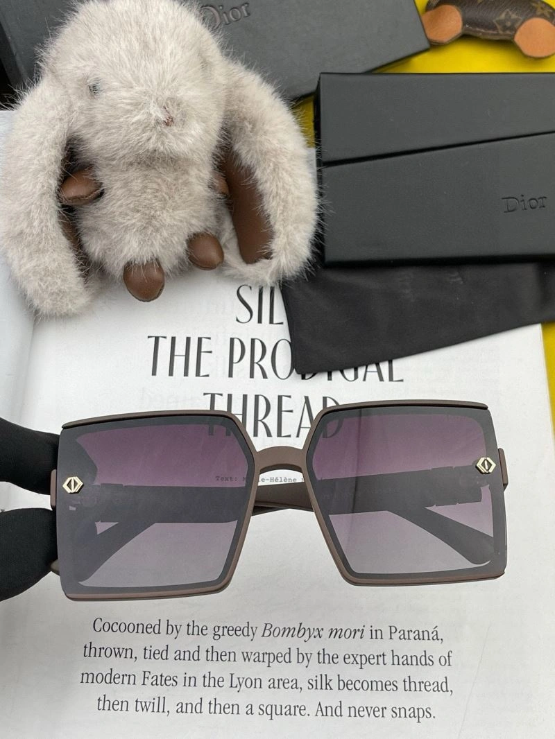 Discounted Christian Dior Sunglasses