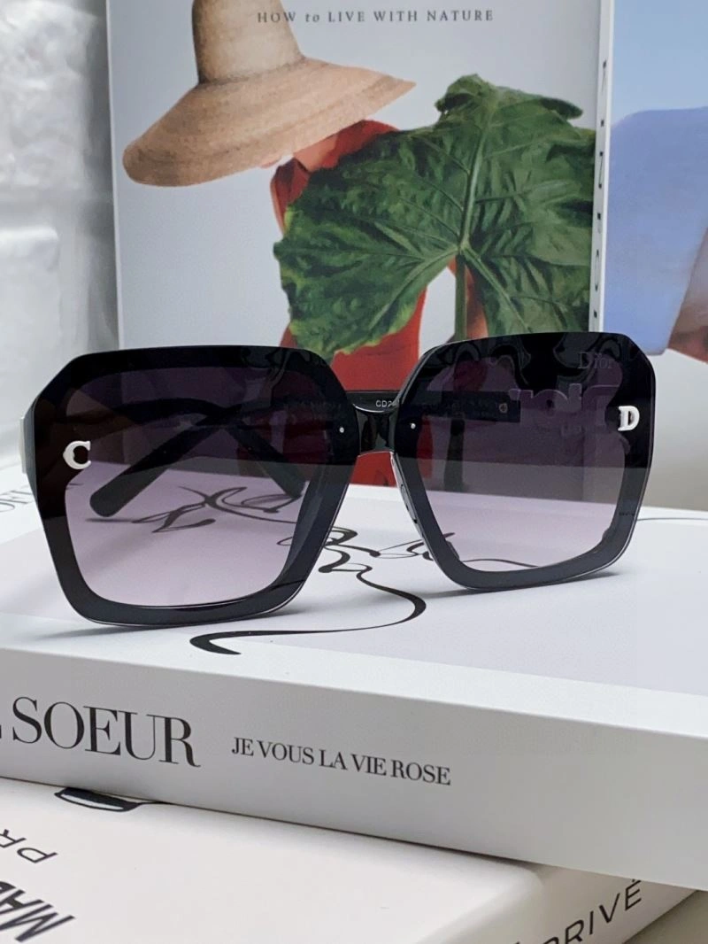 Accurate model Christian Dior Sunglasses