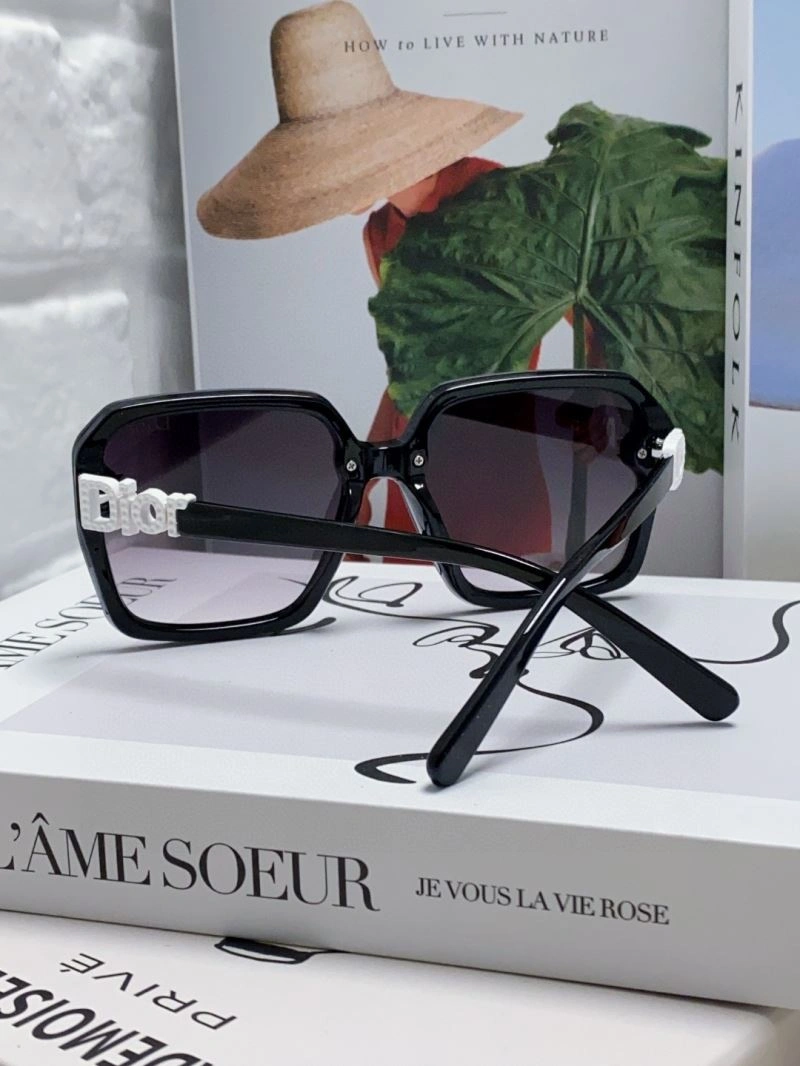 Accurate model Christian Dior Sunglasses