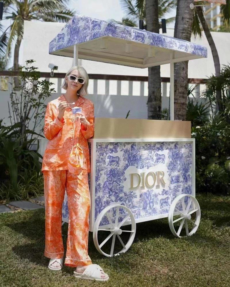 Christian Dior Sunglasses