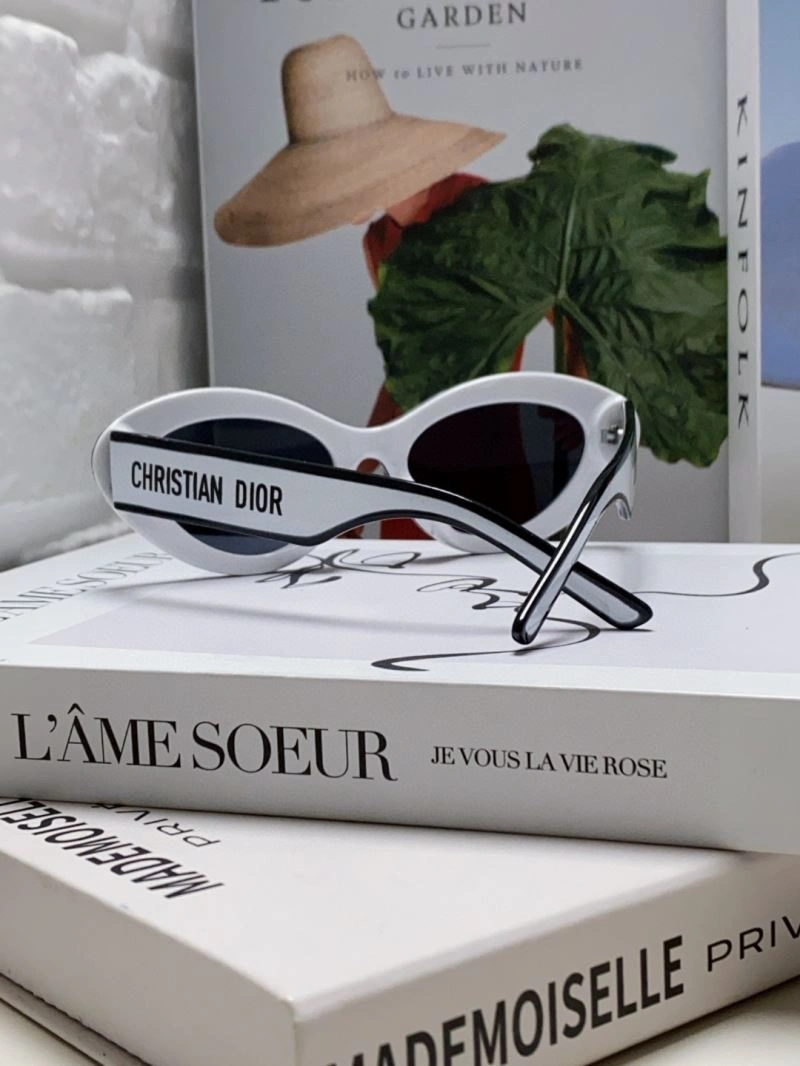 Inexpensive Christian Dior Sunglasses