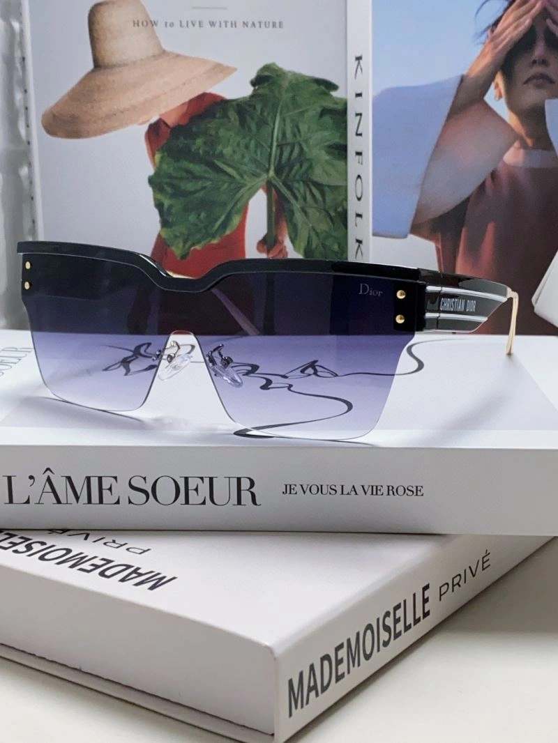 High accuracy Christian Dior Sunglasses