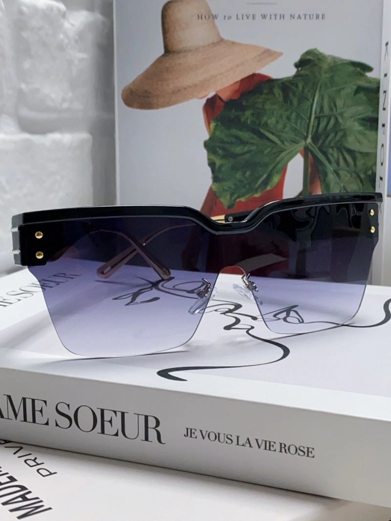 High accuracy Christian Dior Sunglasses