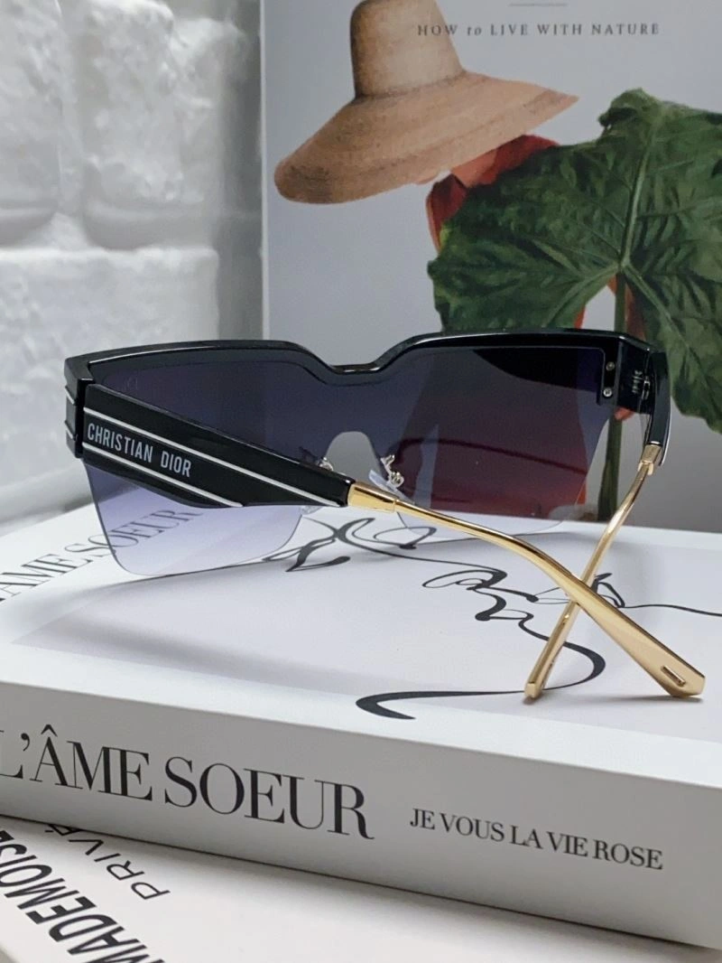 High accuracy Christian Dior Sunglasses