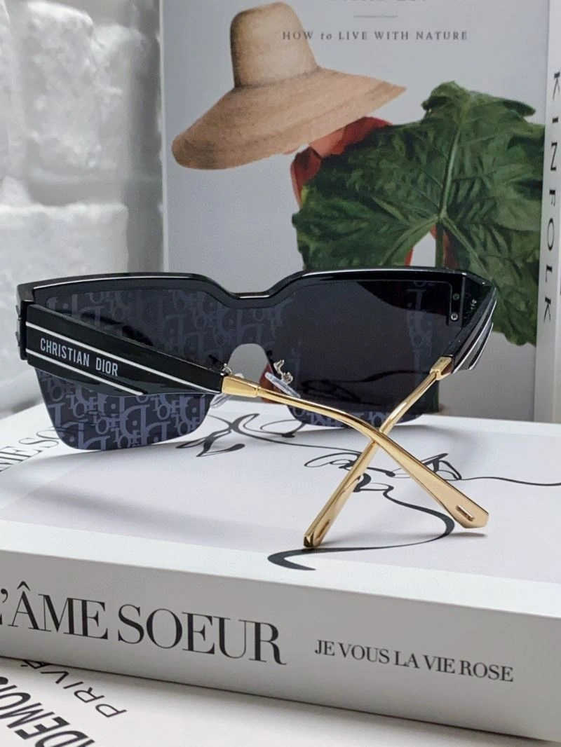 Accurate model Christian Dior Sunglasses
