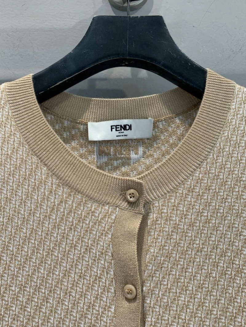Precise copy Christian Dior Sweaters