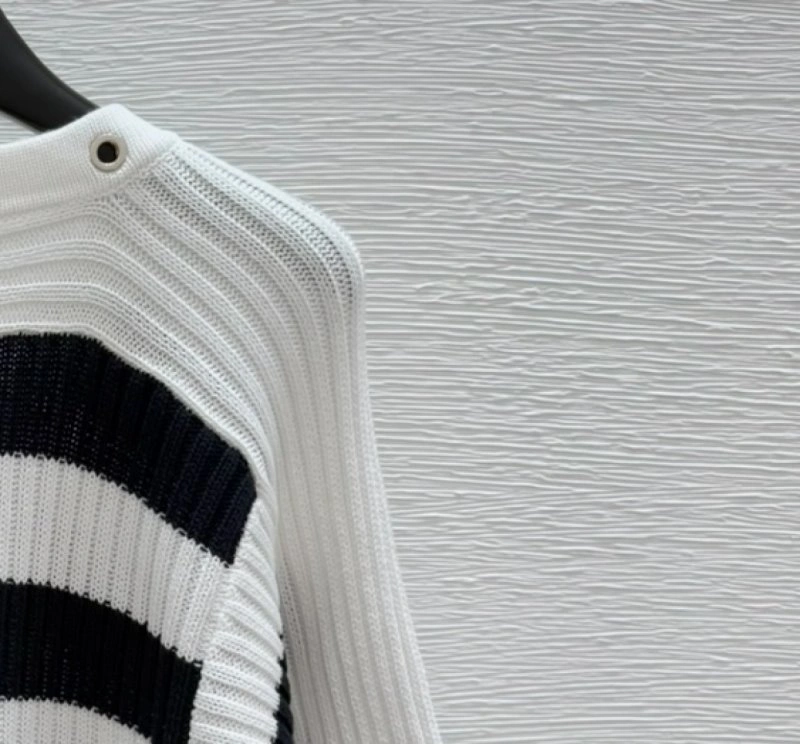 Precise copy Christian Dior Sweaters