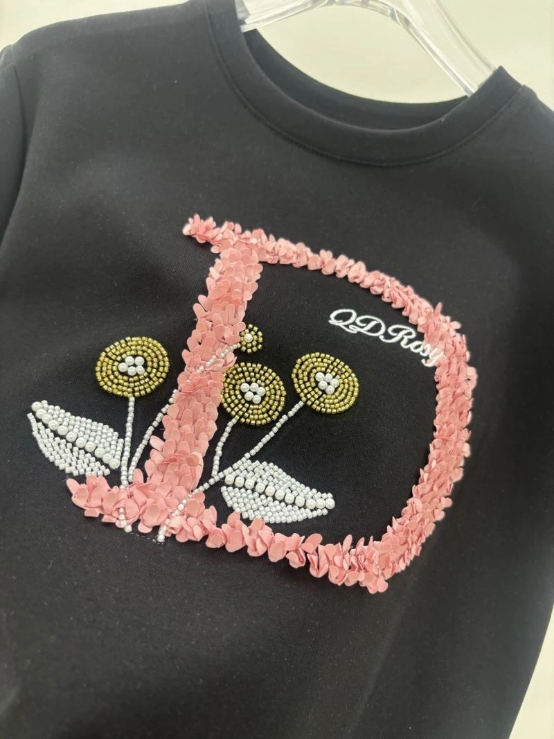 Mirror quality Christian Dior T-Shirts
