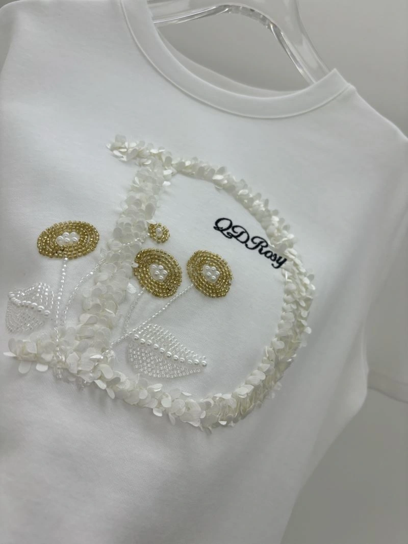 Mirror quality Christian Dior T-Shirts