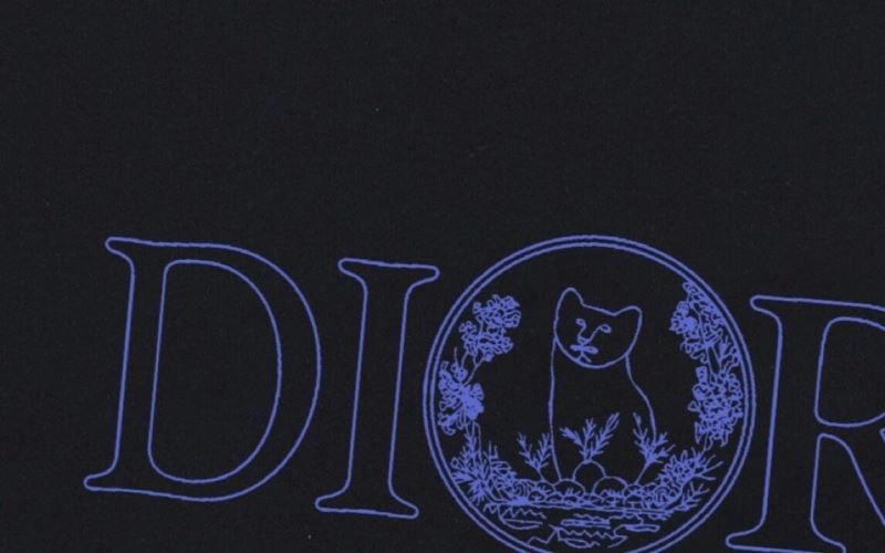 Brand-original Christian Dior T-Shirts