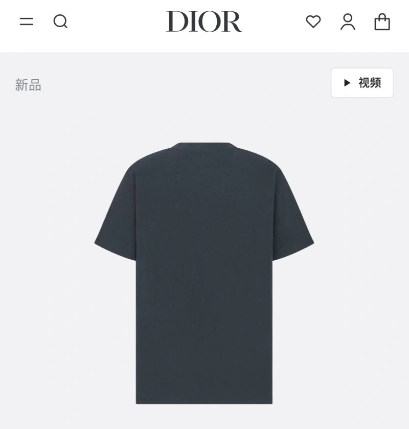Mirror quality Christian Dior T-Shirts