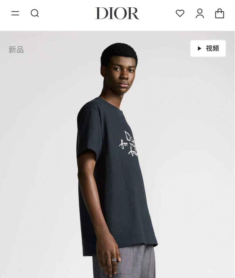 Mirror quality Christian Dior T-Shirts
