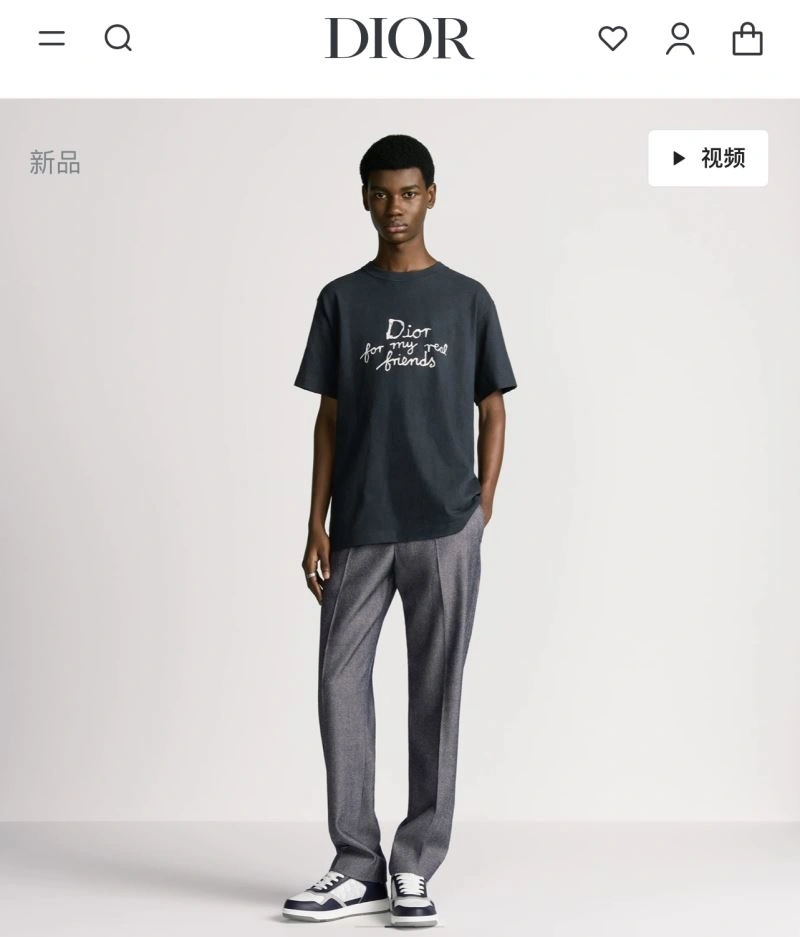 Mirror quality Christian Dior T-Shirts