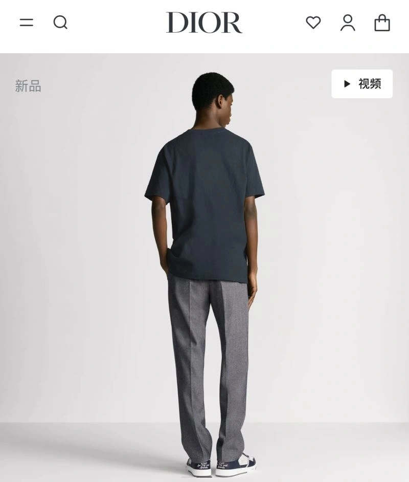 Mirror quality Christian Dior T-Shirts