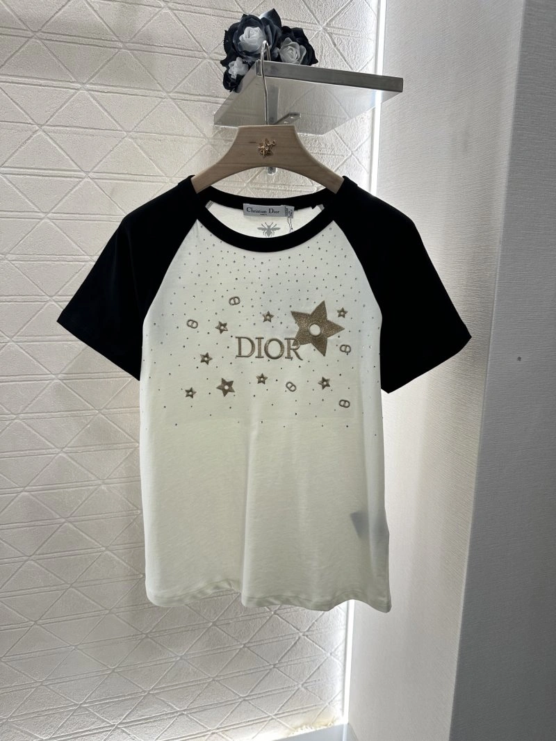 Christian Dior T-Shirts