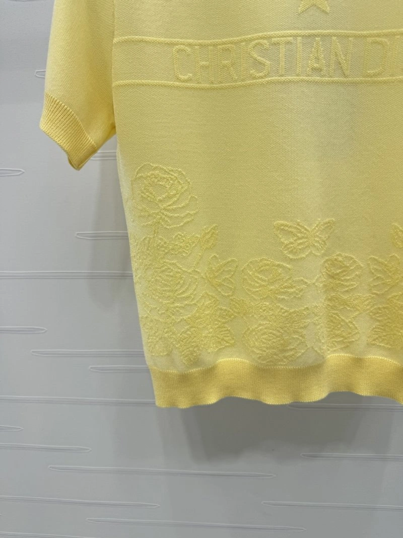 Accurate model Christian Dior T-Shirts