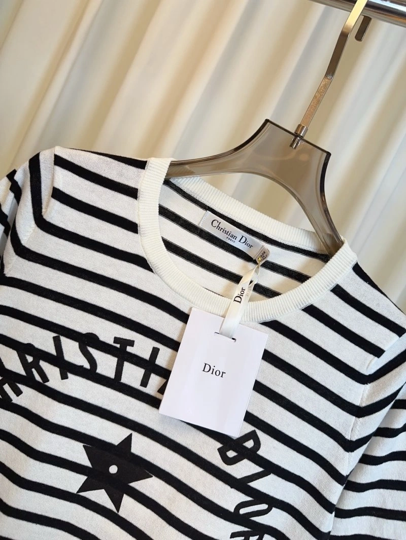 Indistinguishable Christian Dior T-Shirts