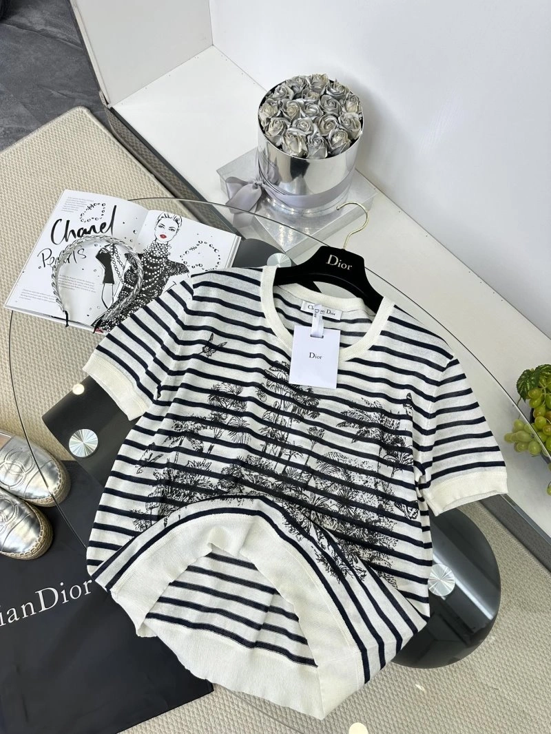 Indistinguishable Christian Dior T-Shirts
