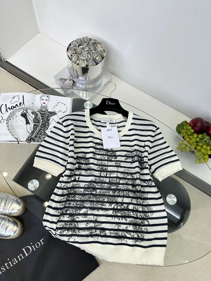 Indistinguishable Christian Dior T-Shirts