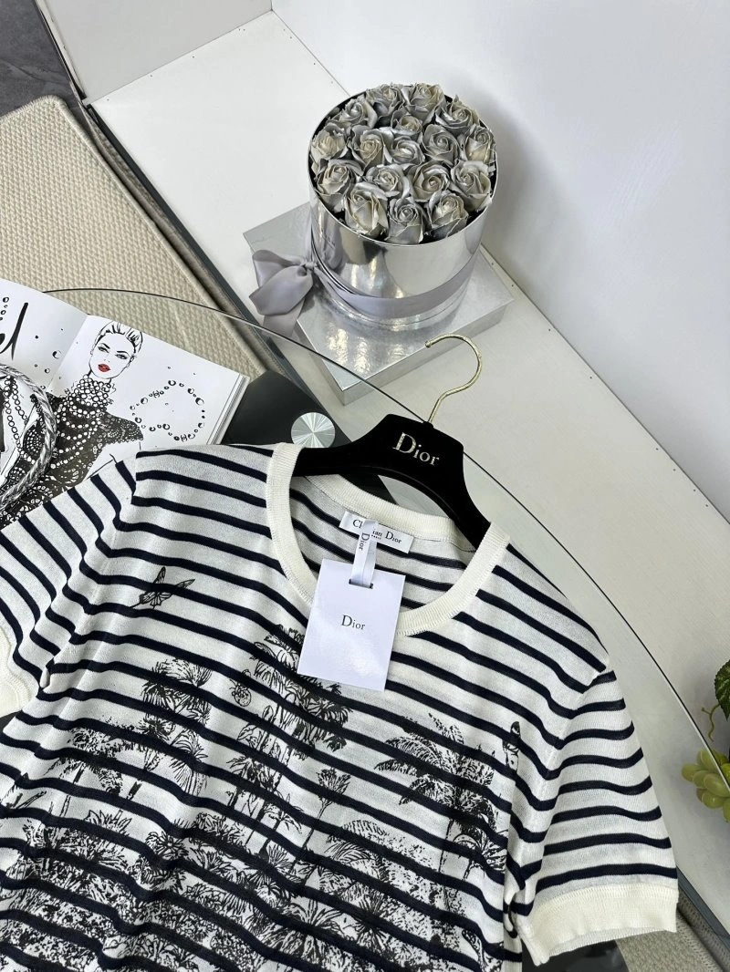 Indistinguishable Christian Dior T-Shirts
