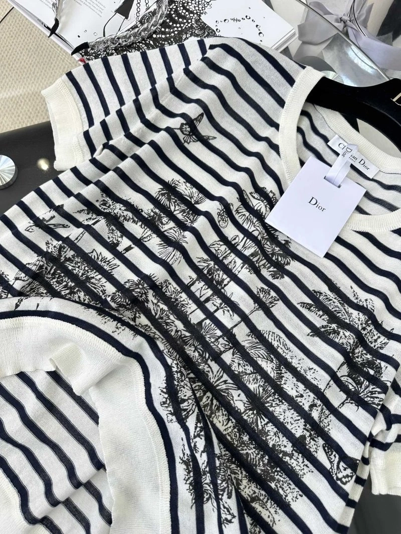 Indistinguishable Christian Dior T-Shirts