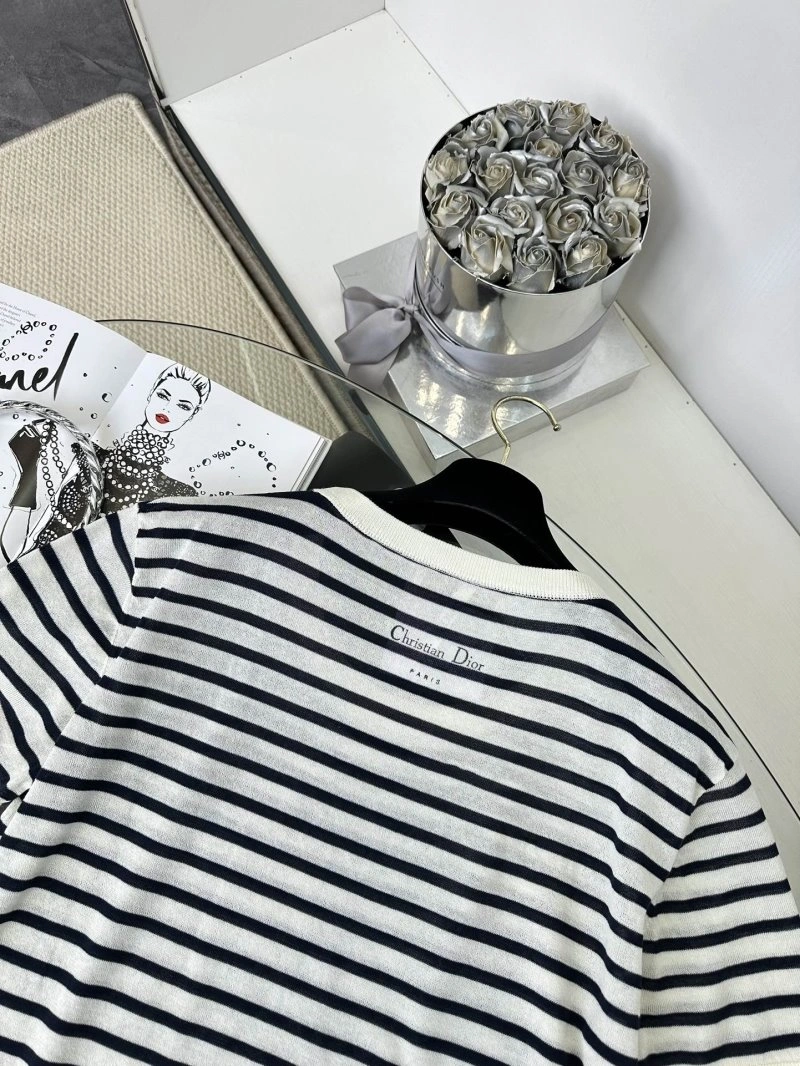Indistinguishable Christian Dior T-Shirts