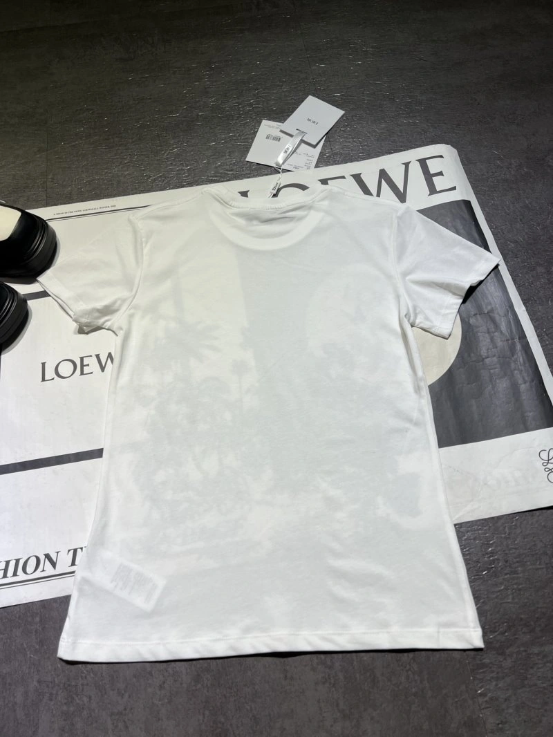 Mirror quality Christian Dior T-Shirts