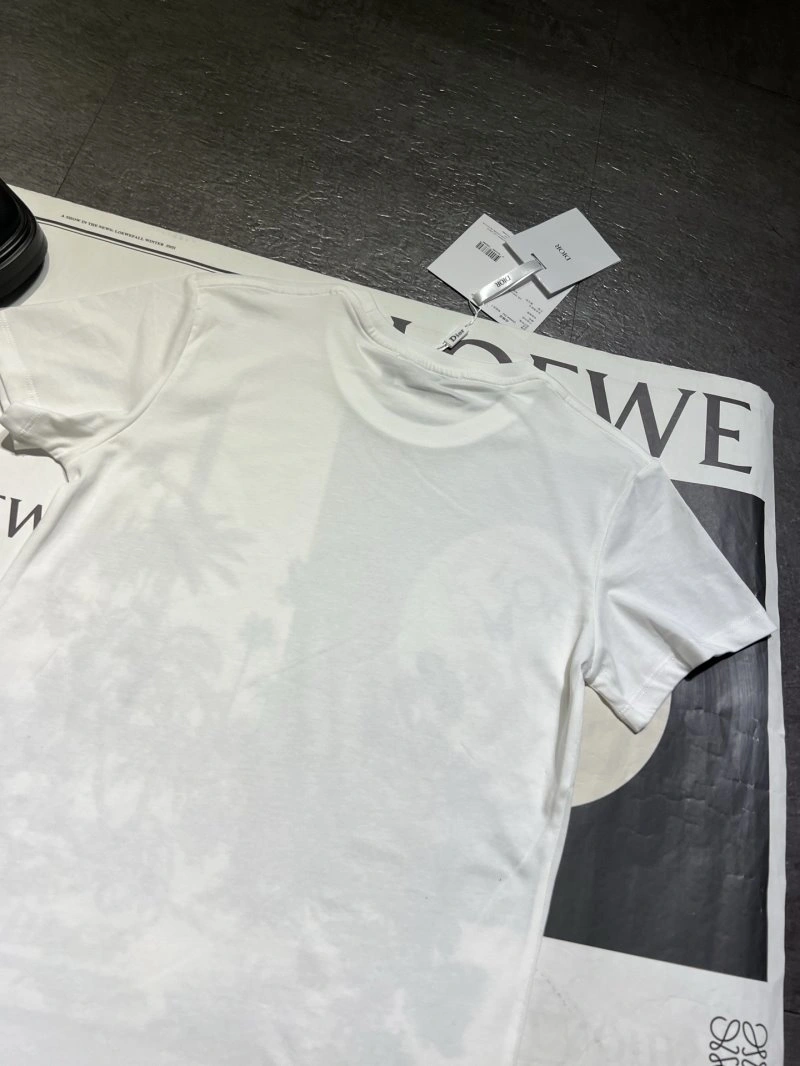 Mirror quality Christian Dior T-Shirts