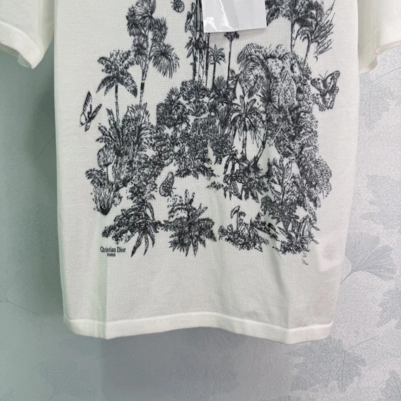 Reasonably priced Christian Dior T-Shirts