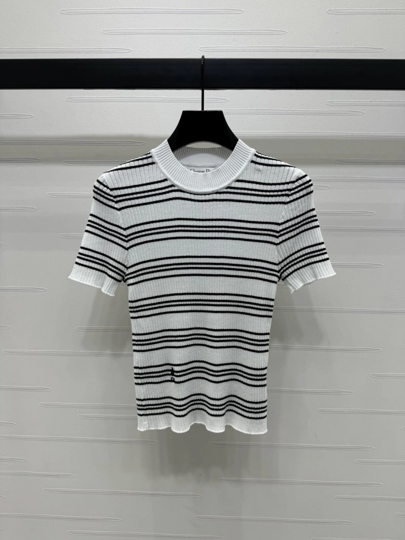 Indistinguishable Christian Dior T-Shirts