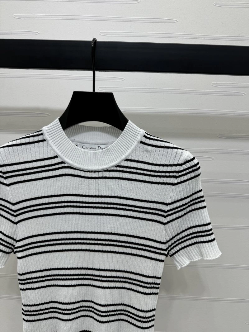 Indistinguishable Christian Dior T-Shirts