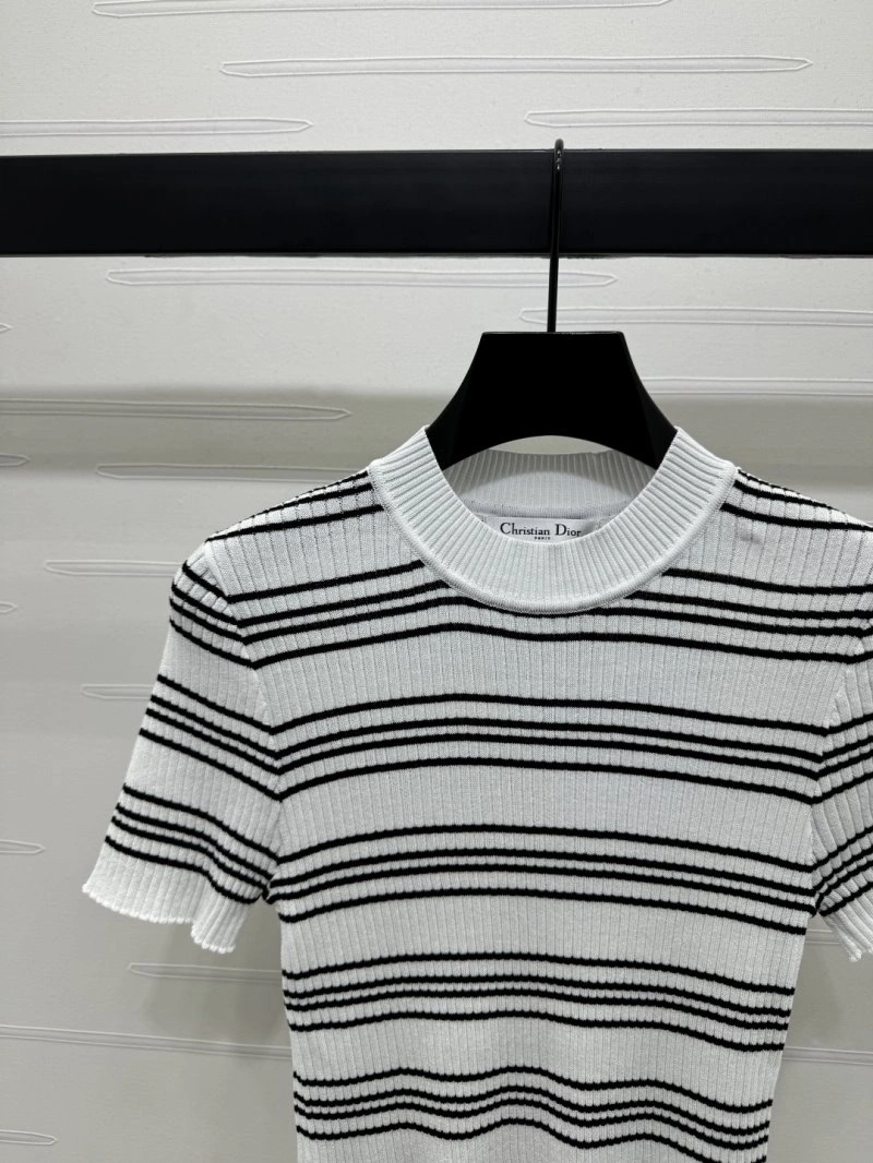 Indistinguishable Christian Dior T-Shirts