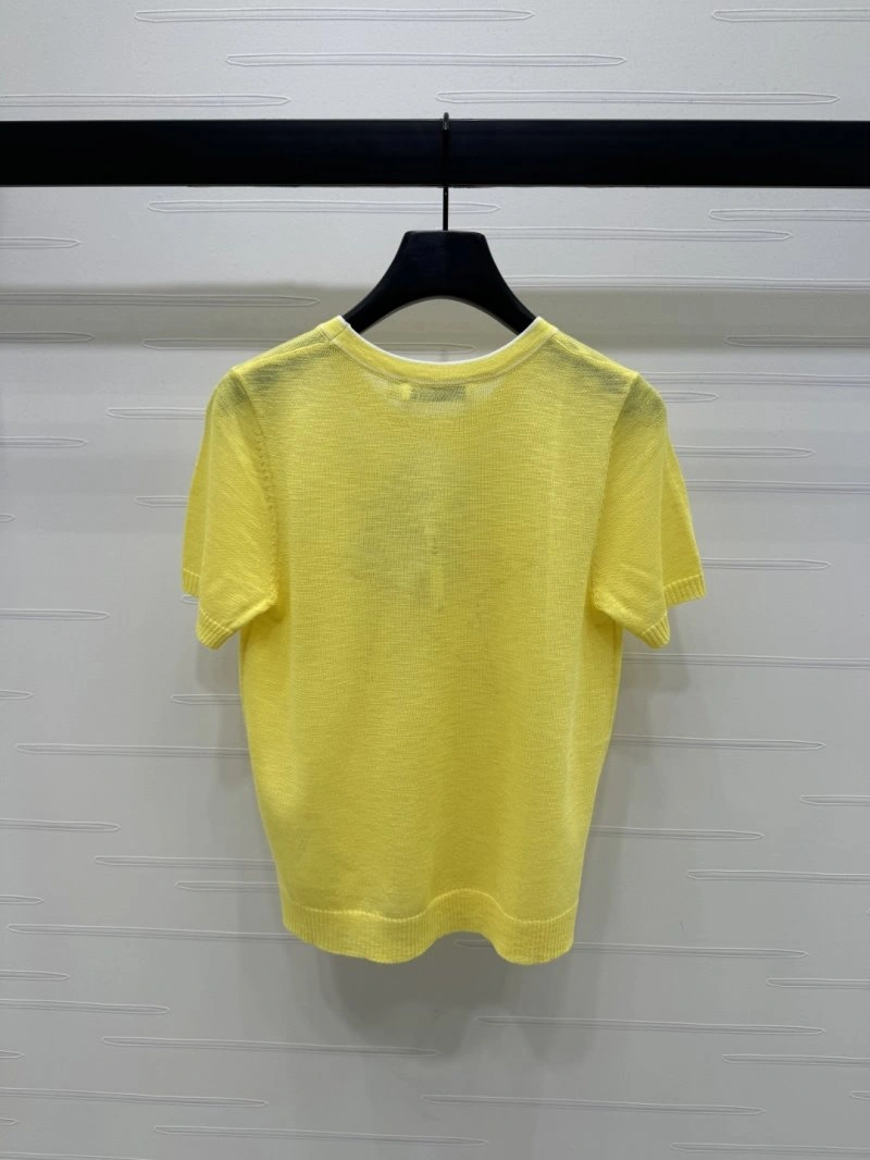 Mirror quality Christian Dior T-Shirts