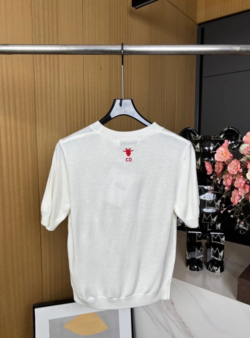 Affordable Christian Dior T-Shirts