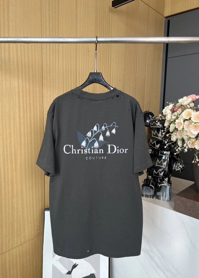 High accuracy Christian Dior T-Shirts