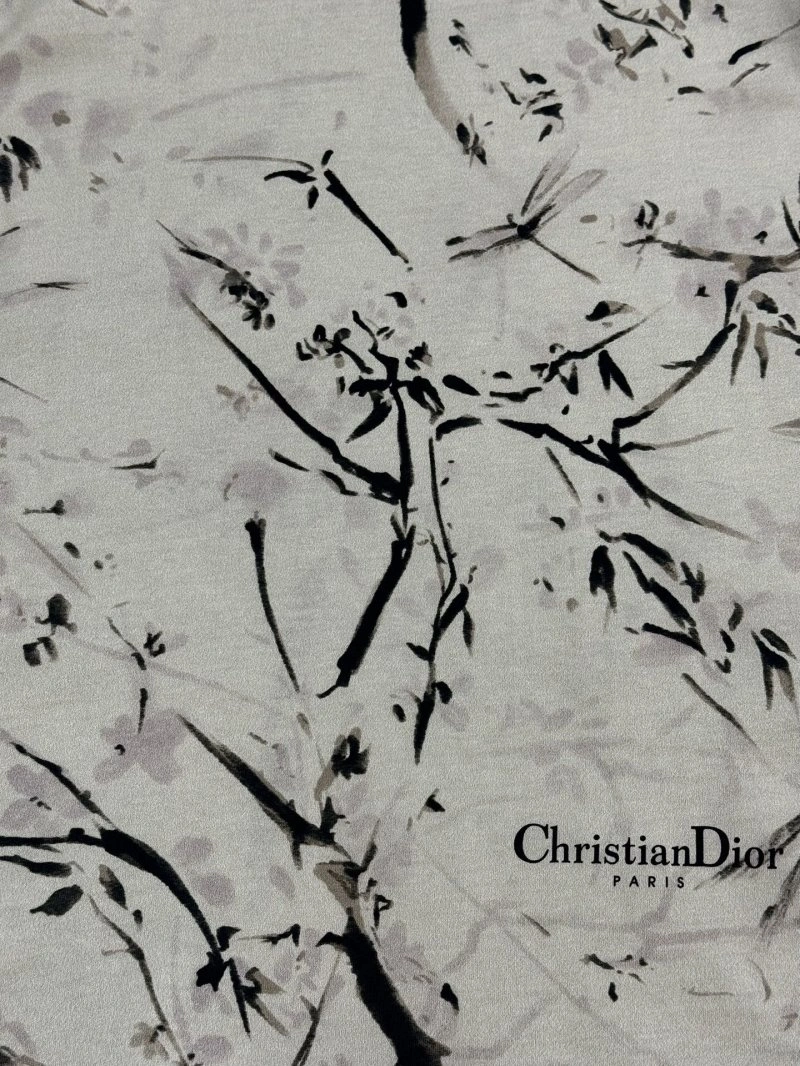 Indistinguishable Christian Dior T-Shirts