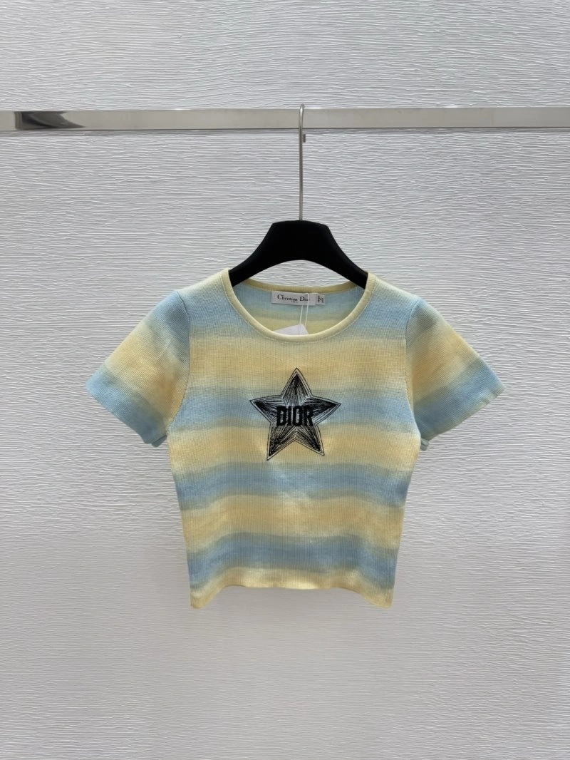 1:1 copy Christian Dior T-Shirts
