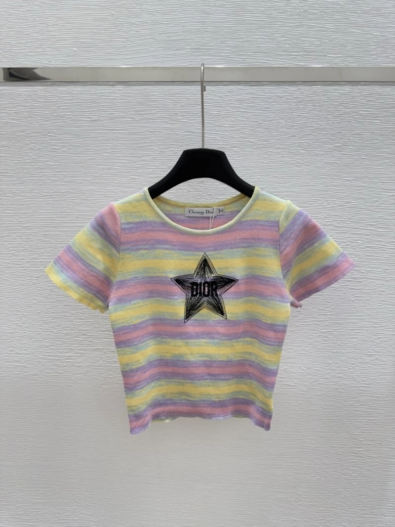 1:1 copy Christian Dior T-Shirts
