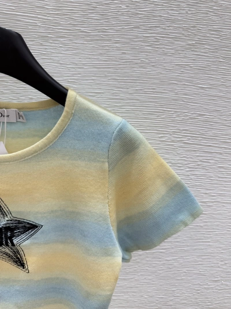 1:1 copy Christian Dior T-Shirts