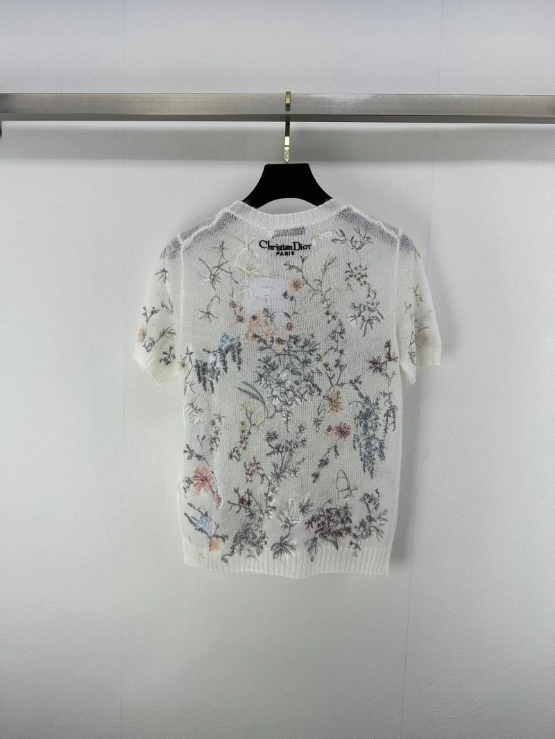 Mirror quality Christian Dior T-Shirts