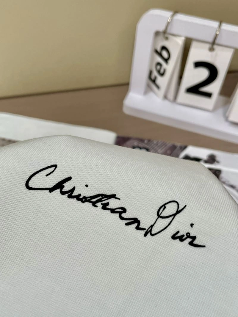 High fidelity Christian Dior T-Shirts