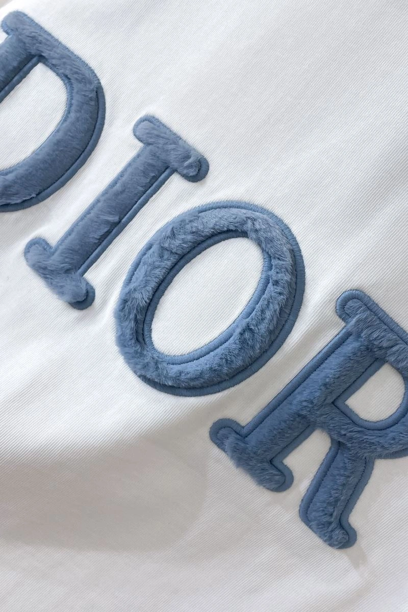 1:1 copy Christian Dior T-Shirts